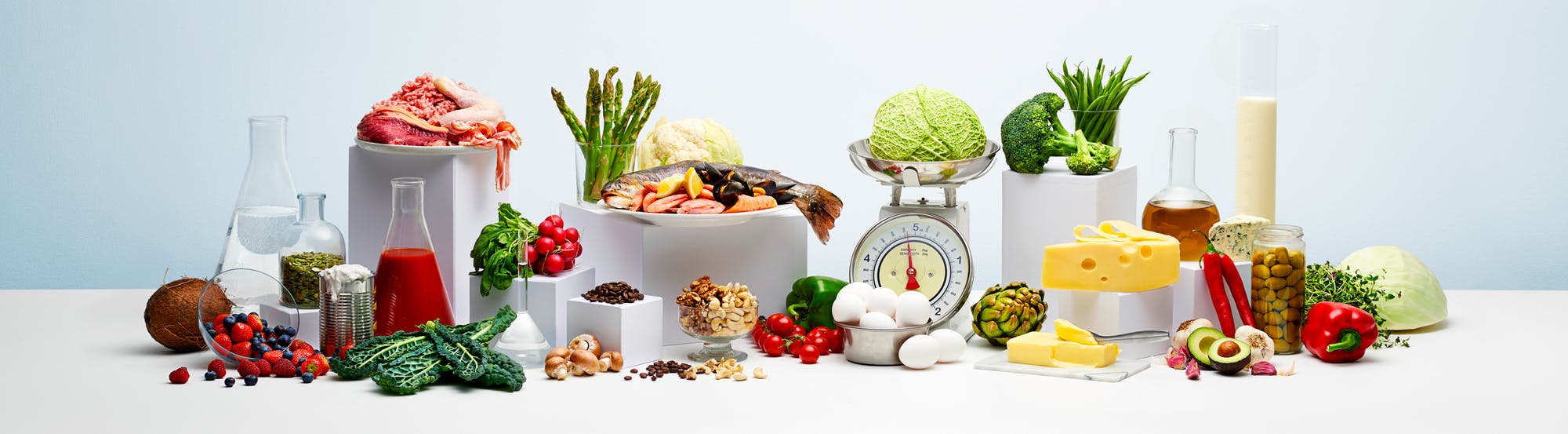 Quais alimentos devemos comer? – PALOW